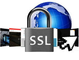 Instant Multi Domain SSL Sertifikası | Comodo SSL